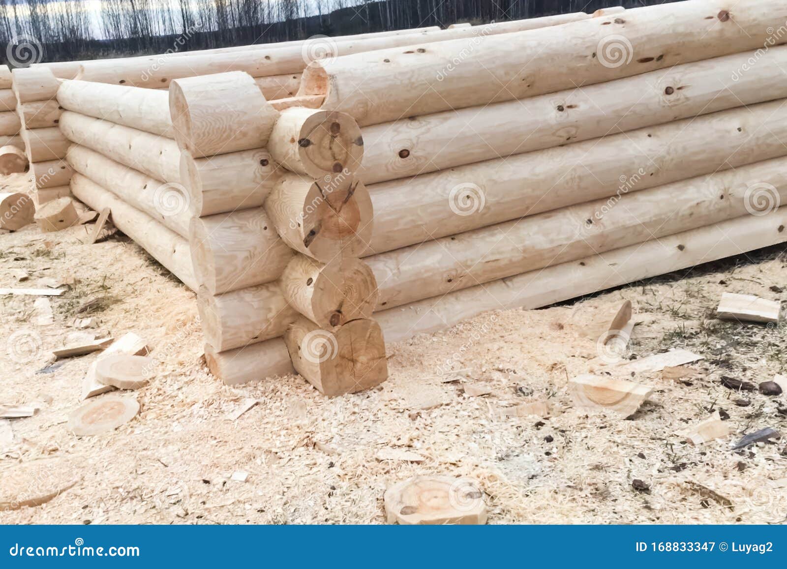 Drying and Assembly of Wooden Log House at a Construction Base Stock ...