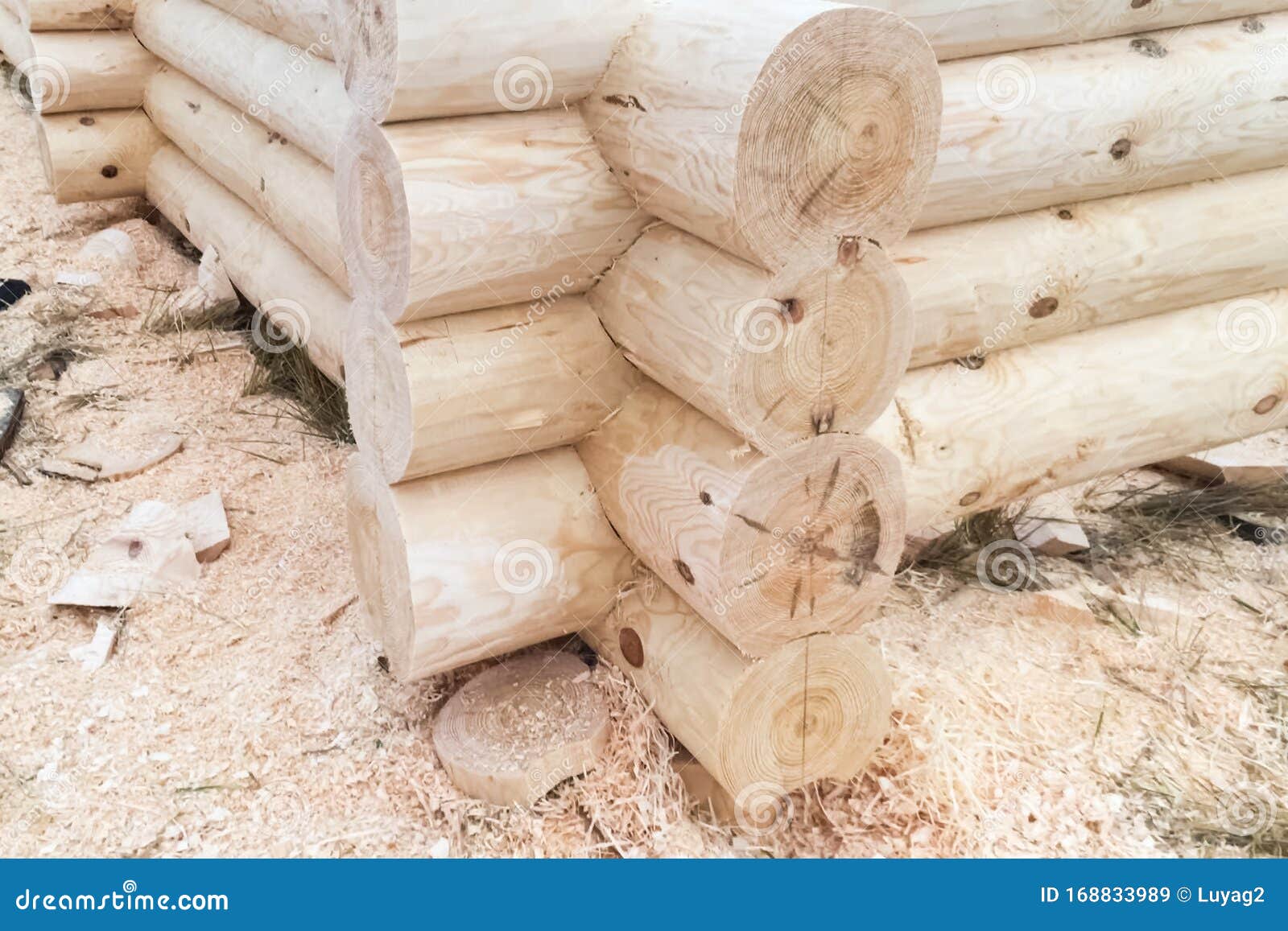 Drying and Assembly of Wooden Log House at a Construction Base Stock ...
