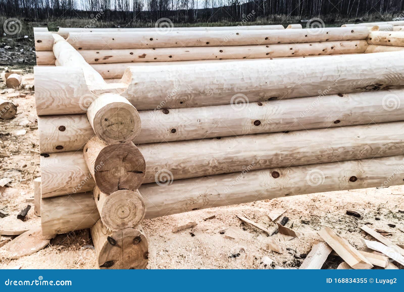 Drying and Assembly of Wooden Log House at a Construction Base Stock ...