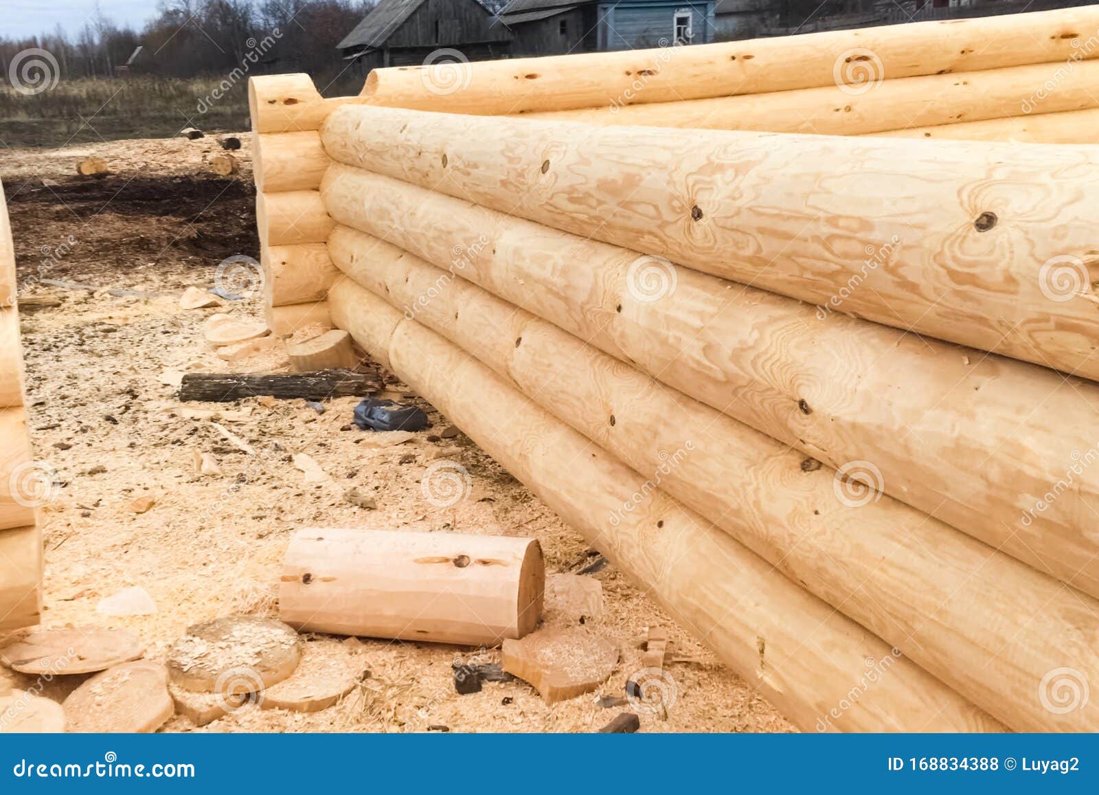Drying and Assembly of Wooden Log House at a Construction Base Stock ...