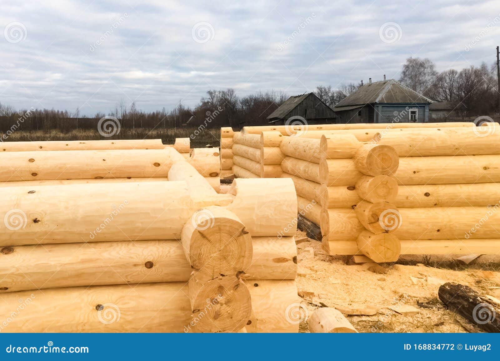 Drying and Assembly of Wooden Log House at a Construction Base Stock ...