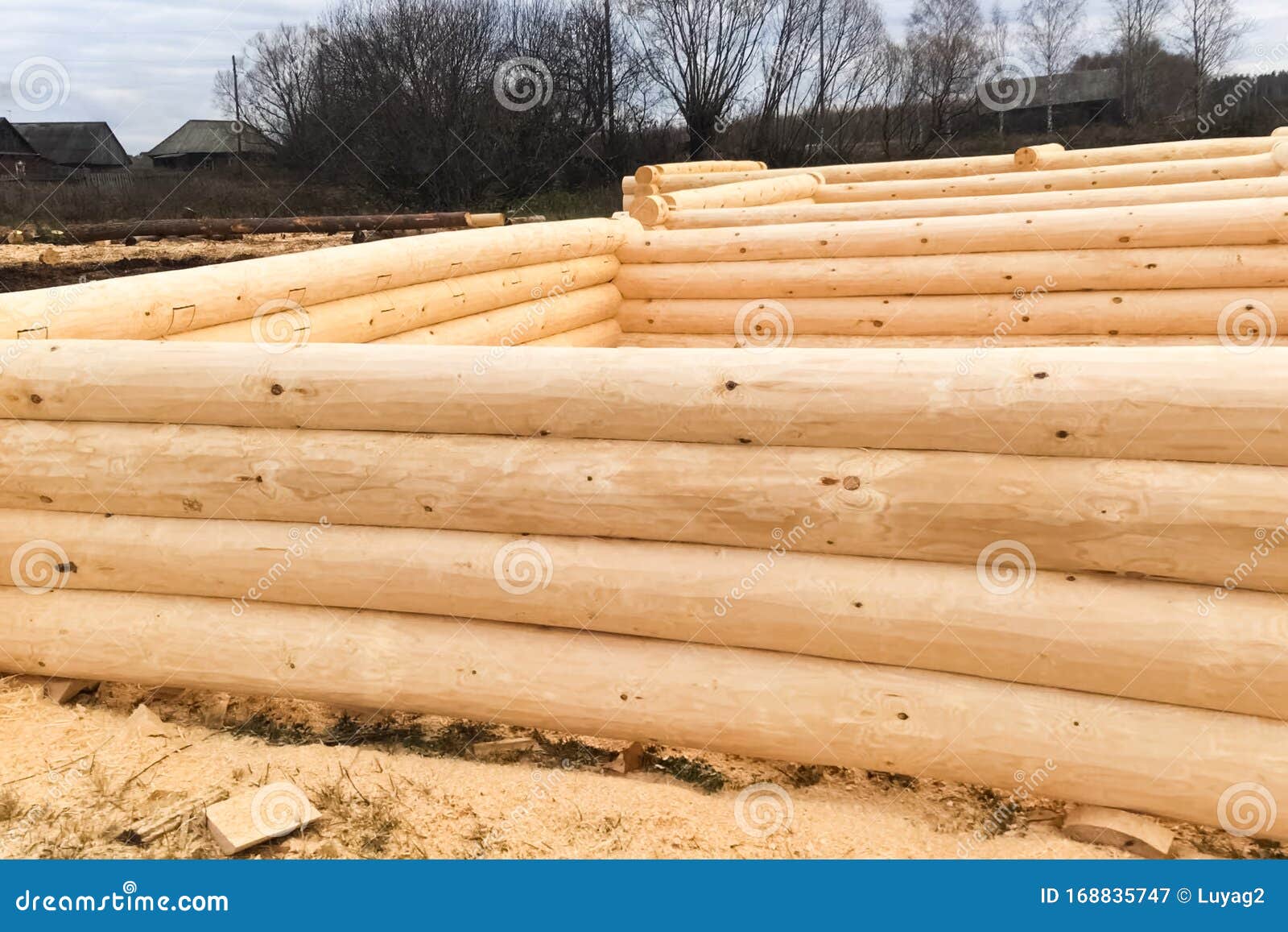 Drying and Assembly of Wooden Log House at a Construction Base Stock ...