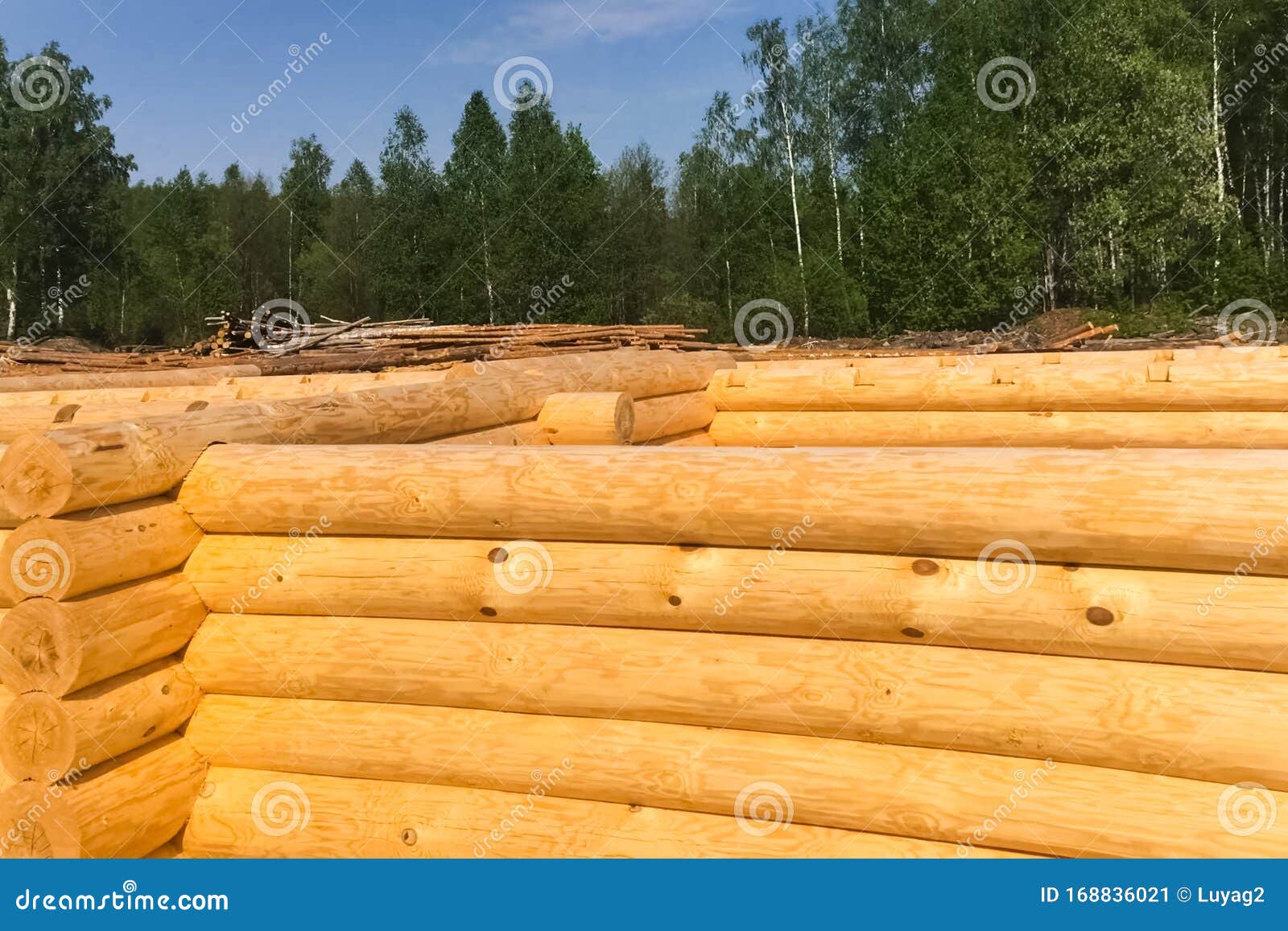Drying and Assembly of Wooden Log House at a Construction Base Stock ...