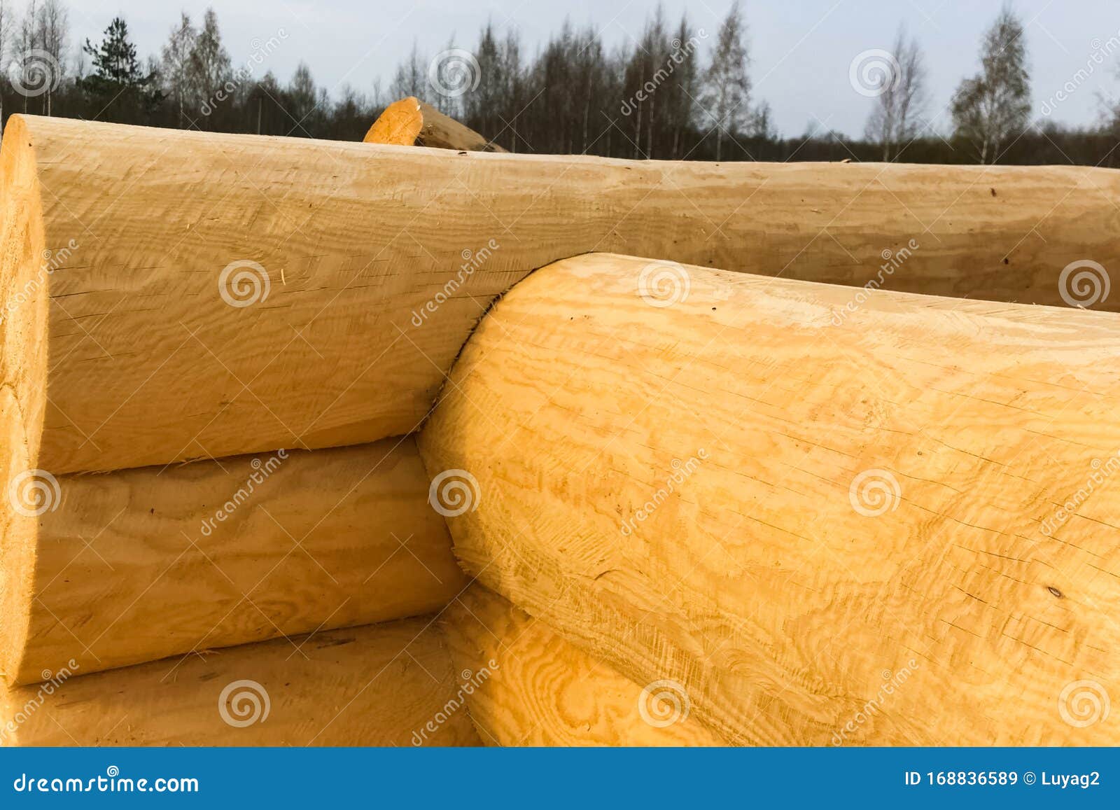 Drying and Assembly of Wooden Log House at a Construction Base Stock ...