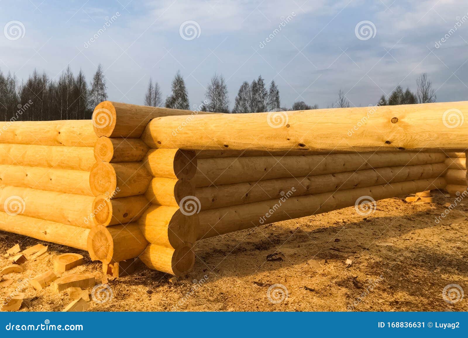 Drying and Assembly of Wooden Log House at a Construction Base Stock ...