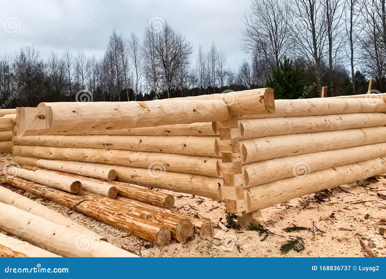 Drying and Assembly of Wooden Log House at a Construction Base Stock ...