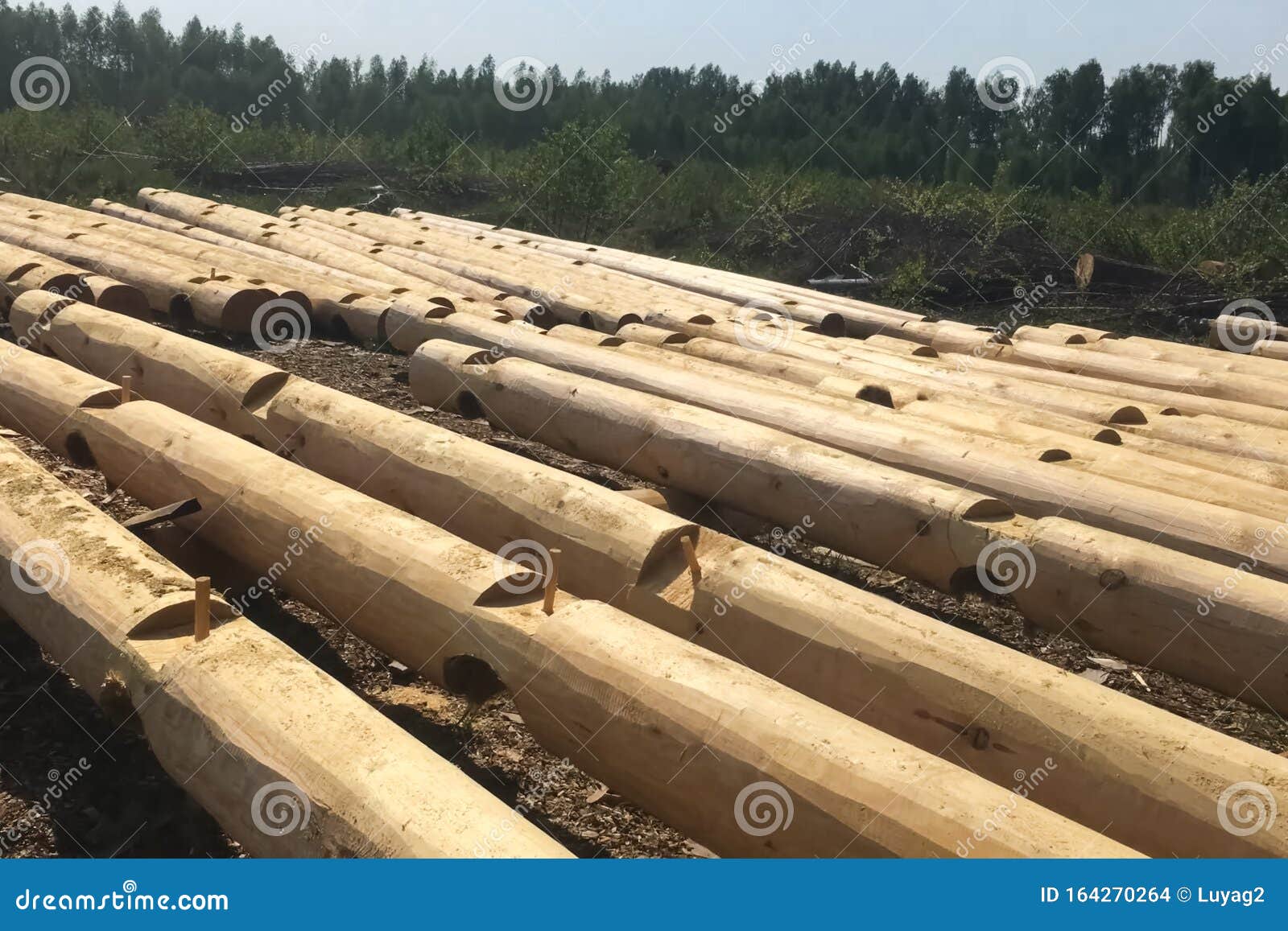 Drying and Assembly of Wooden Log House at a Construction Base Stock ...
