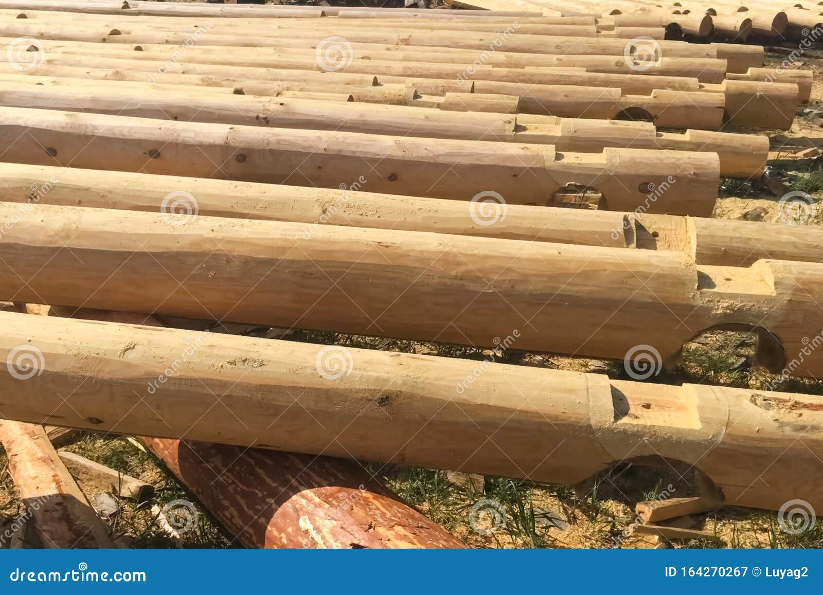 Drying and Assembly of Wooden Log House at a Construction Base Stock ...