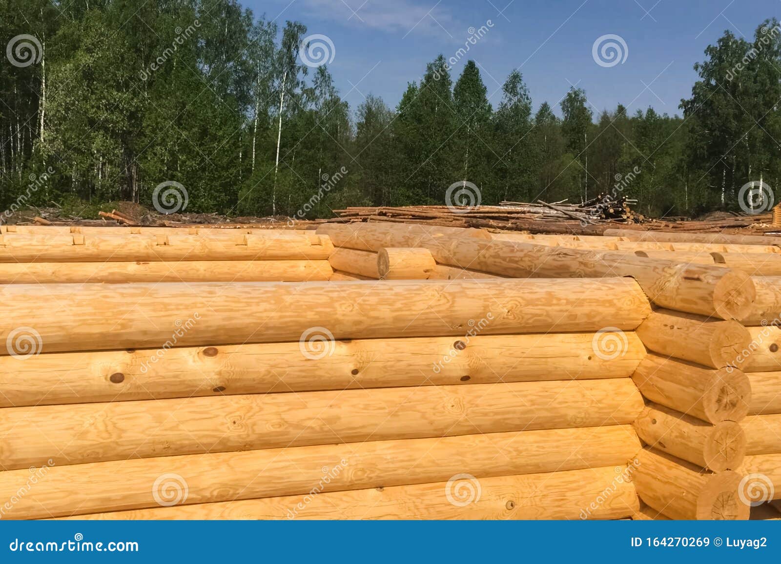Drying and Assembly of Wooden Log House at a Construction Base Stock ...