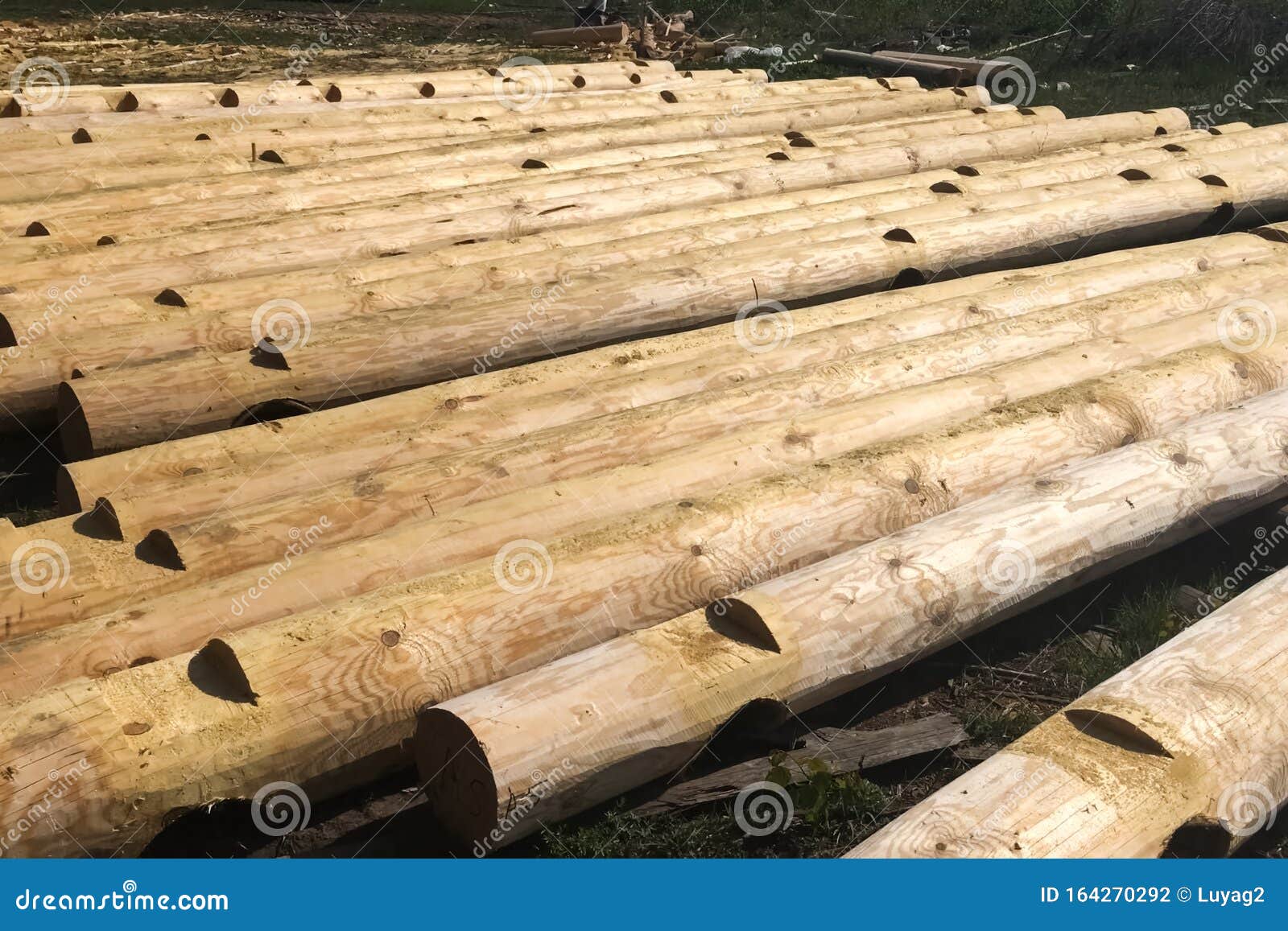 Drying and Assembly of Wooden Log House at a Construction Base Stock ...