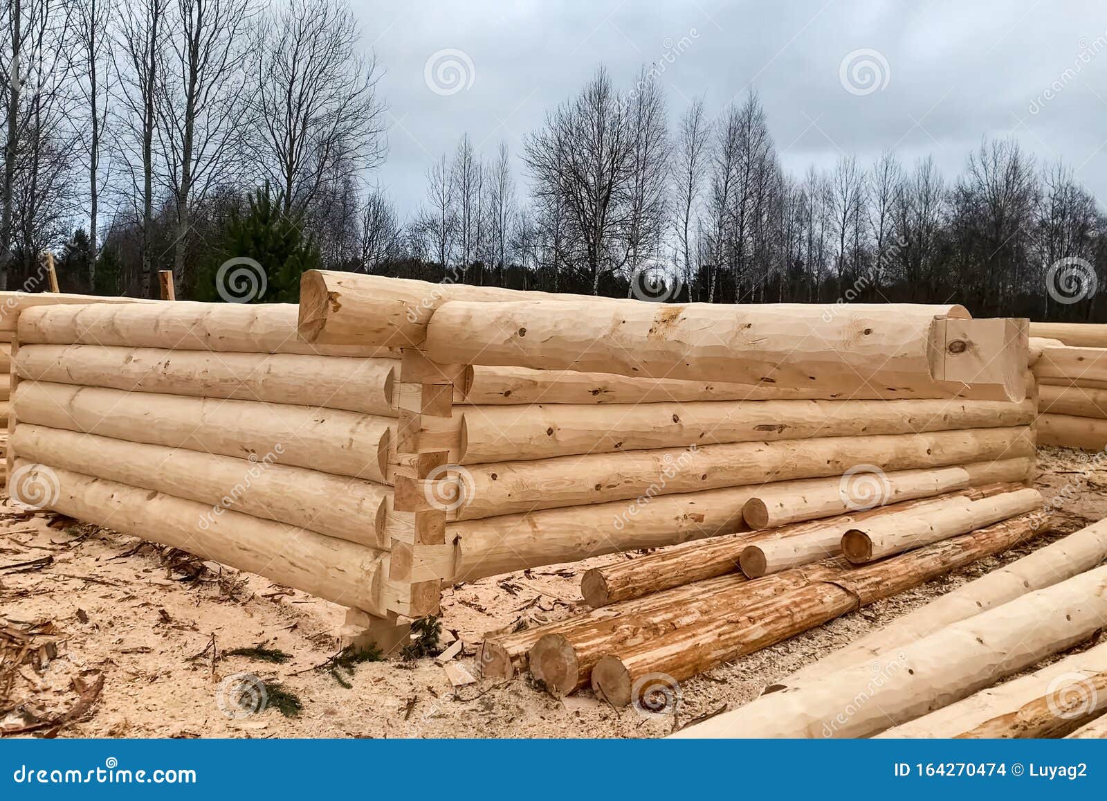 Drying and Assembly of Wooden Log House at a Construction Base Stock ...