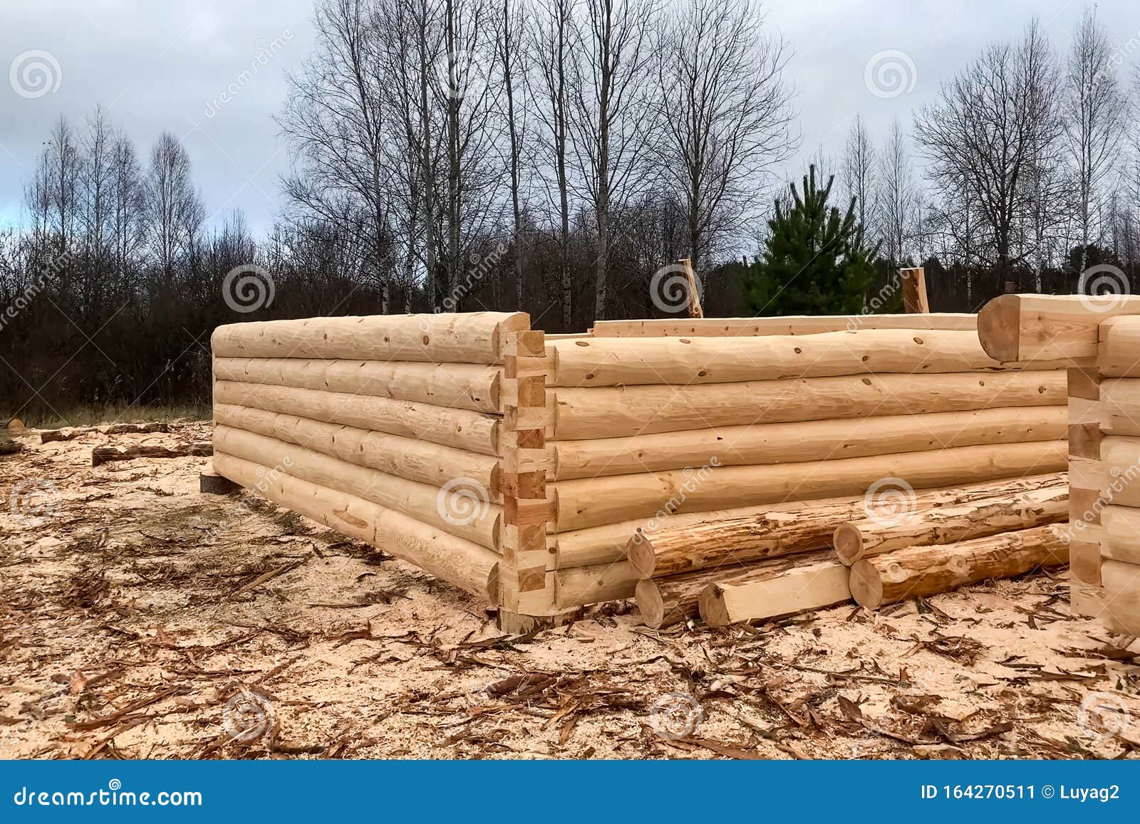 Drying and Assembly of Wooden Log House at a Construction Base Stock ...