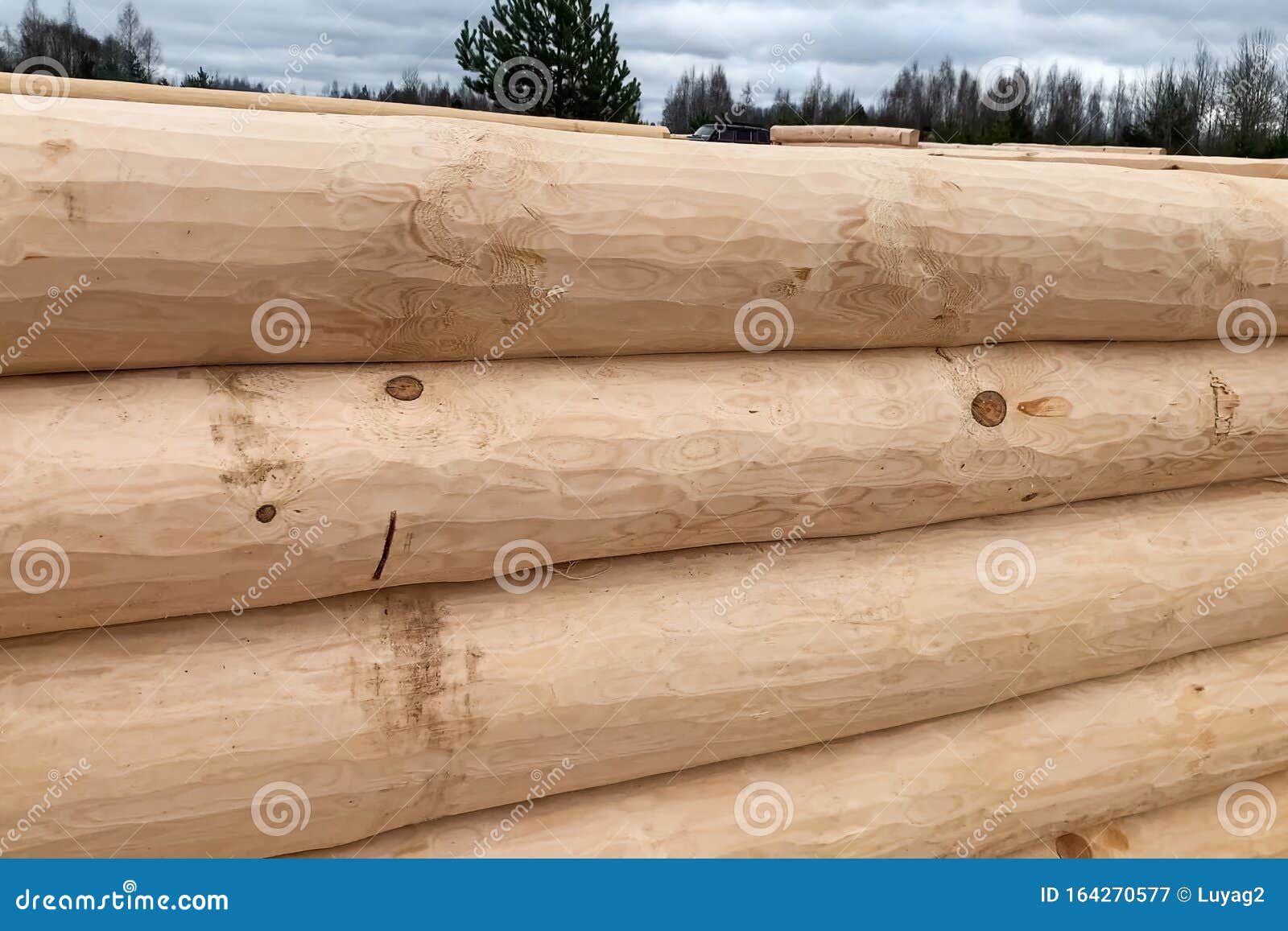 Drying and Assembly of Wooden Log House at a Construction Base Stock ...