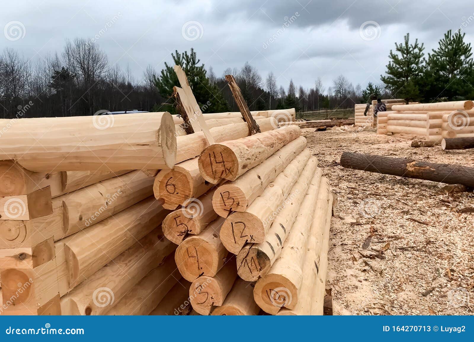 Drying and Assembly of Wooden Log House at a Construction Base Stock ...