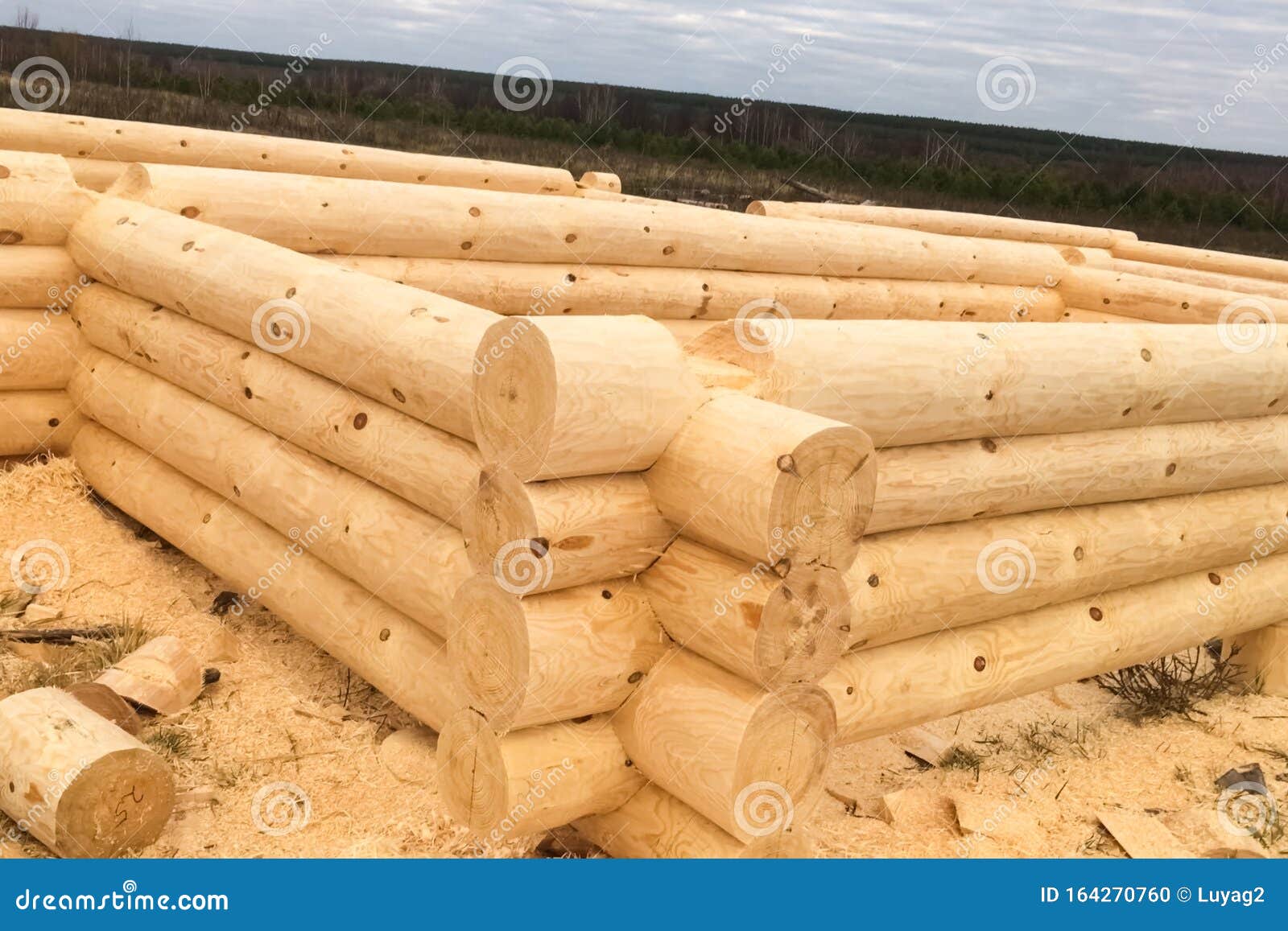 Drying and Assembly of Wooden Log House at a Construction Base Stock ...