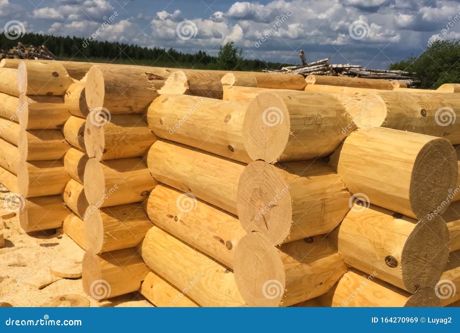 Drying and Assembly of Wooden Log House at a Construction Base Stock ...