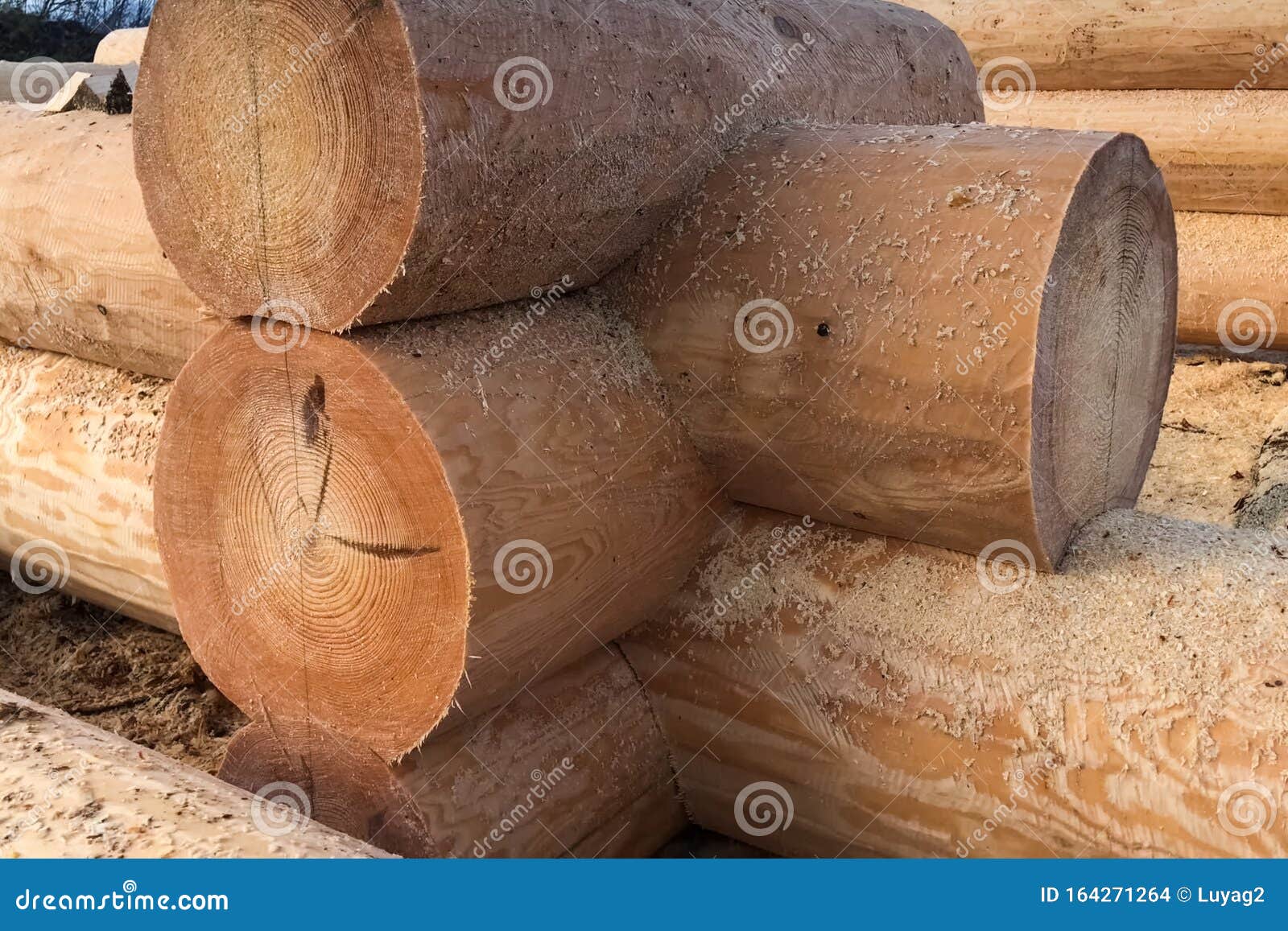 Drying and Assembly of Wooden Log House at a Construction Base Stock ...