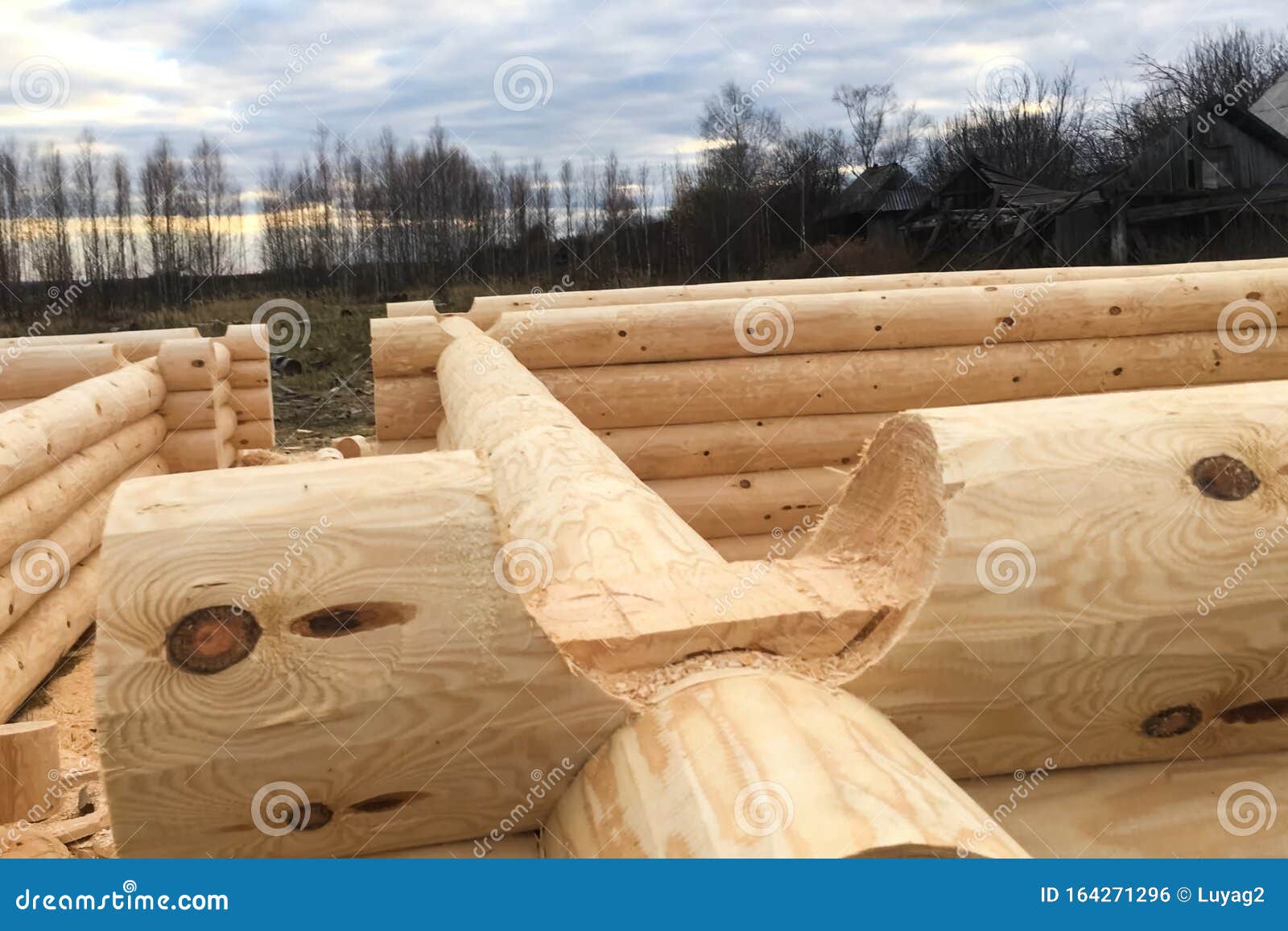 Drying and Assembly of Wooden Log House at a Construction Base Stock ...