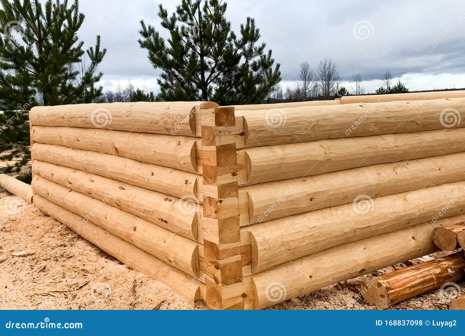 Drying and Assembly of Wooden Log House at a Construction Base Stock ...