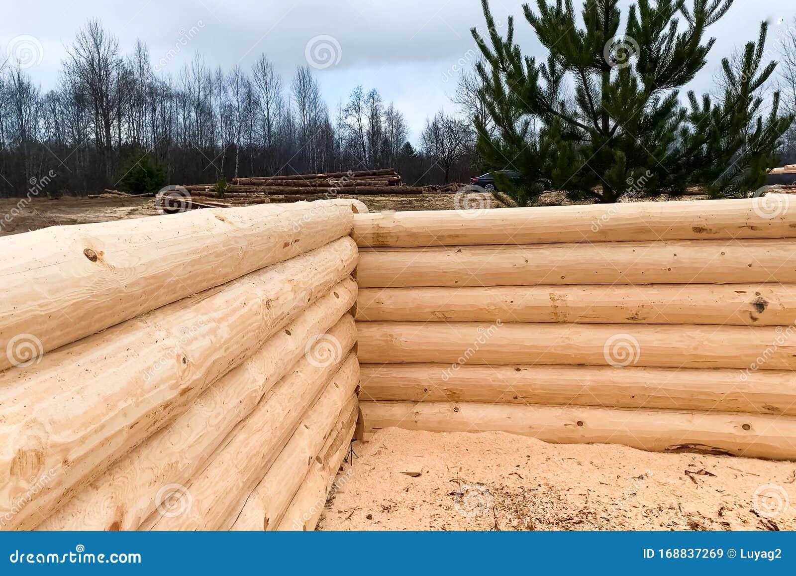 Drying and Assembly of Wooden Log House at a Construction Base Stock ...