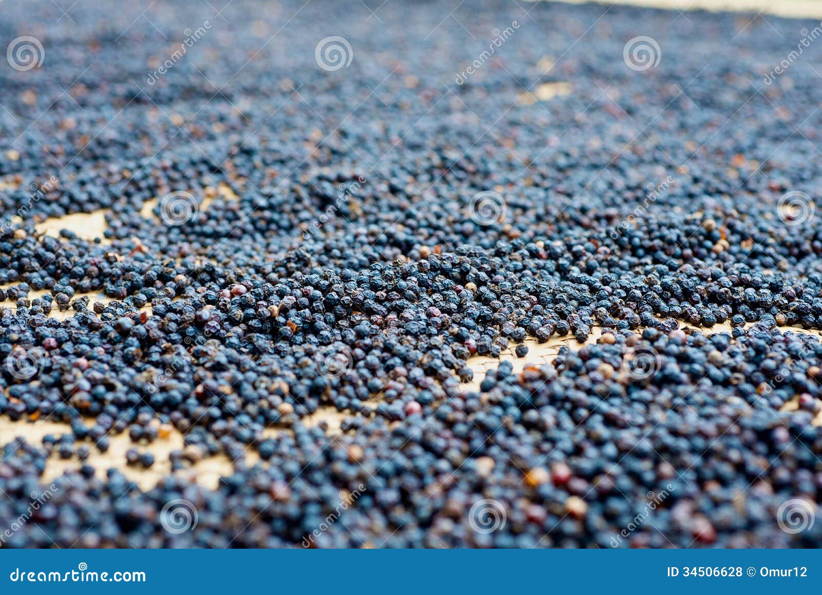 Drying Black Pepper On A Veranda Of A Traditional Longhouse Near Batang ...