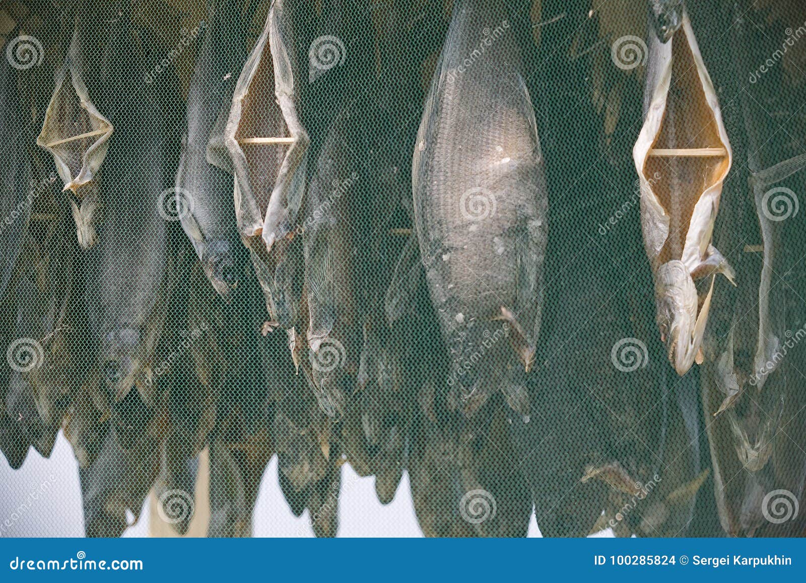 Drying Box for Drying Fish. Stock Photo - Image of dangling, semis ...