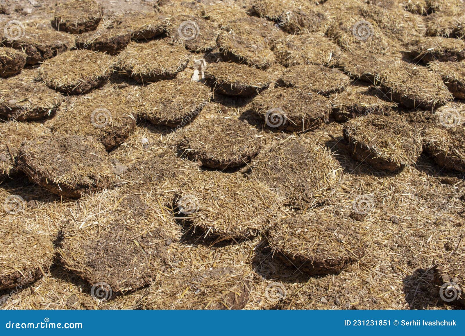 Cow-dung Fuel Royalty-Free Stock Photography | CartoonDealer.com #33137957