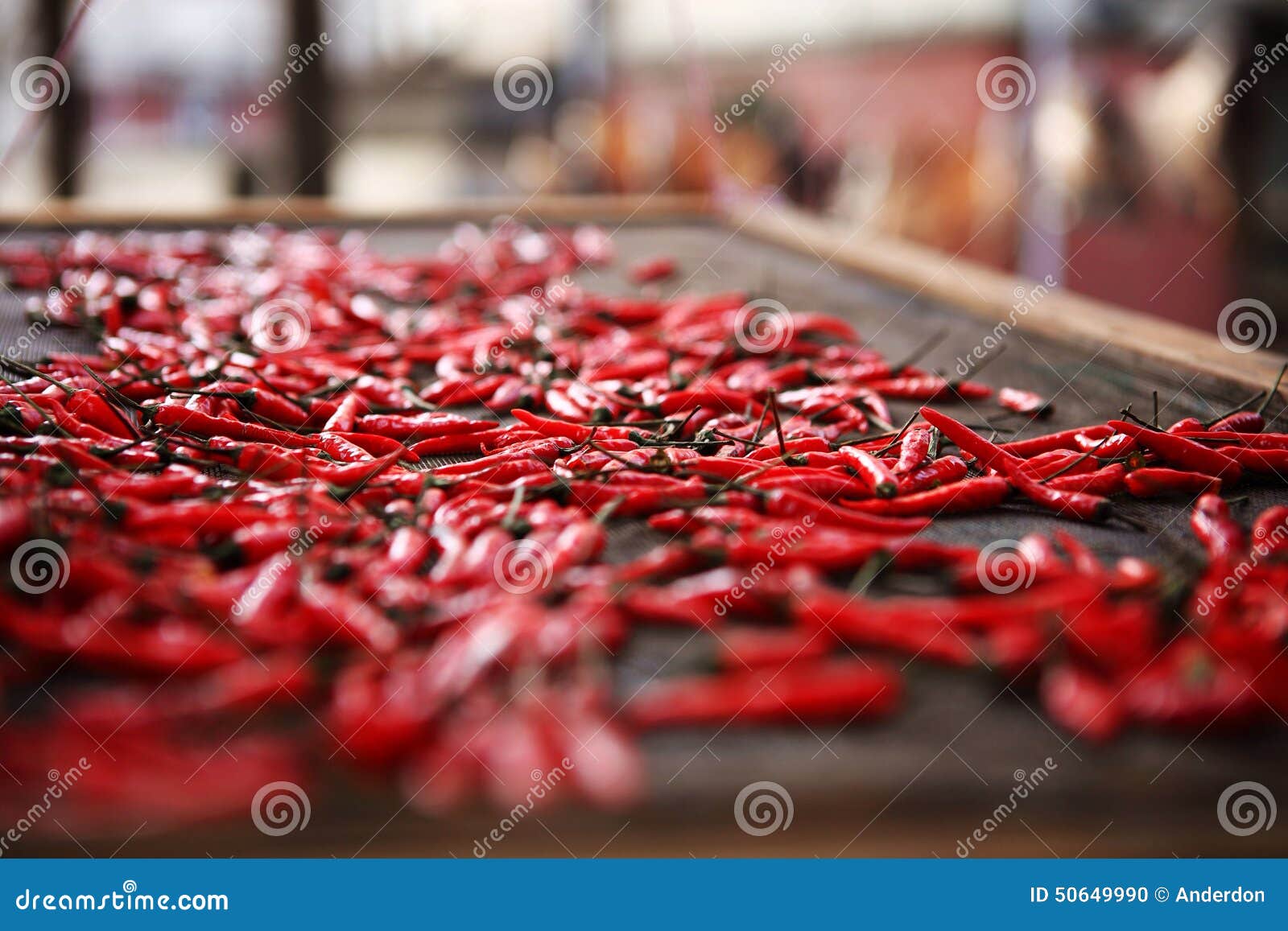 Drying Chili pepper editorial image. Image of fruit, finance - 50649990