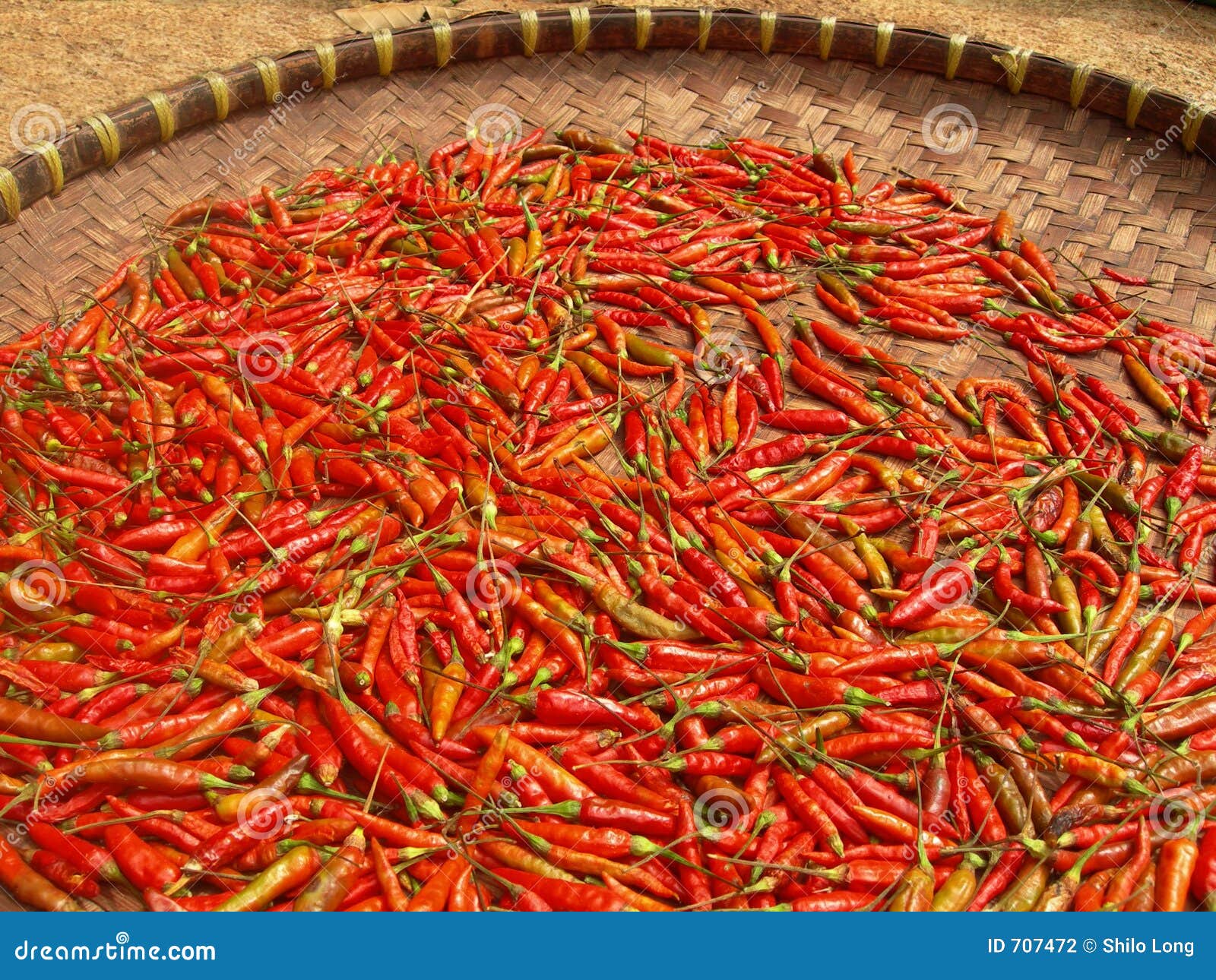 Drying chilli stock photo. Image of natural, asia, heat - 707472