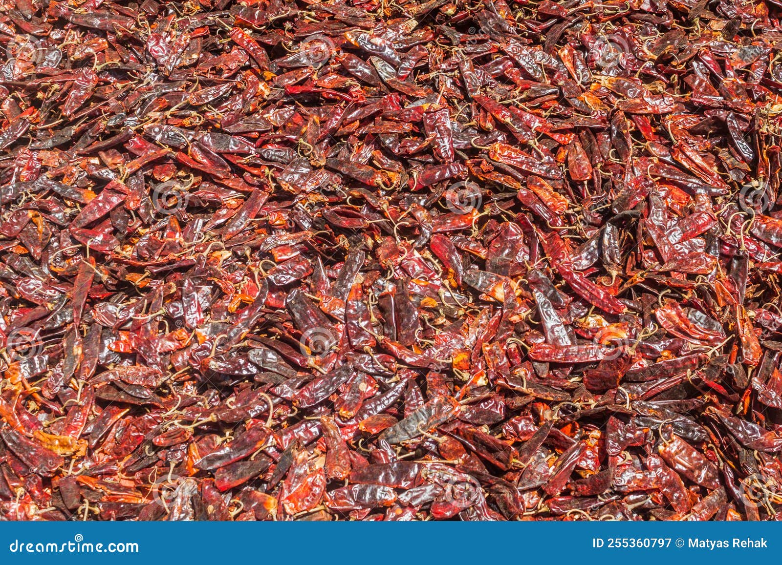 Drying Chilli Peppers in Ethiop Stock Image - Image of pepper ...