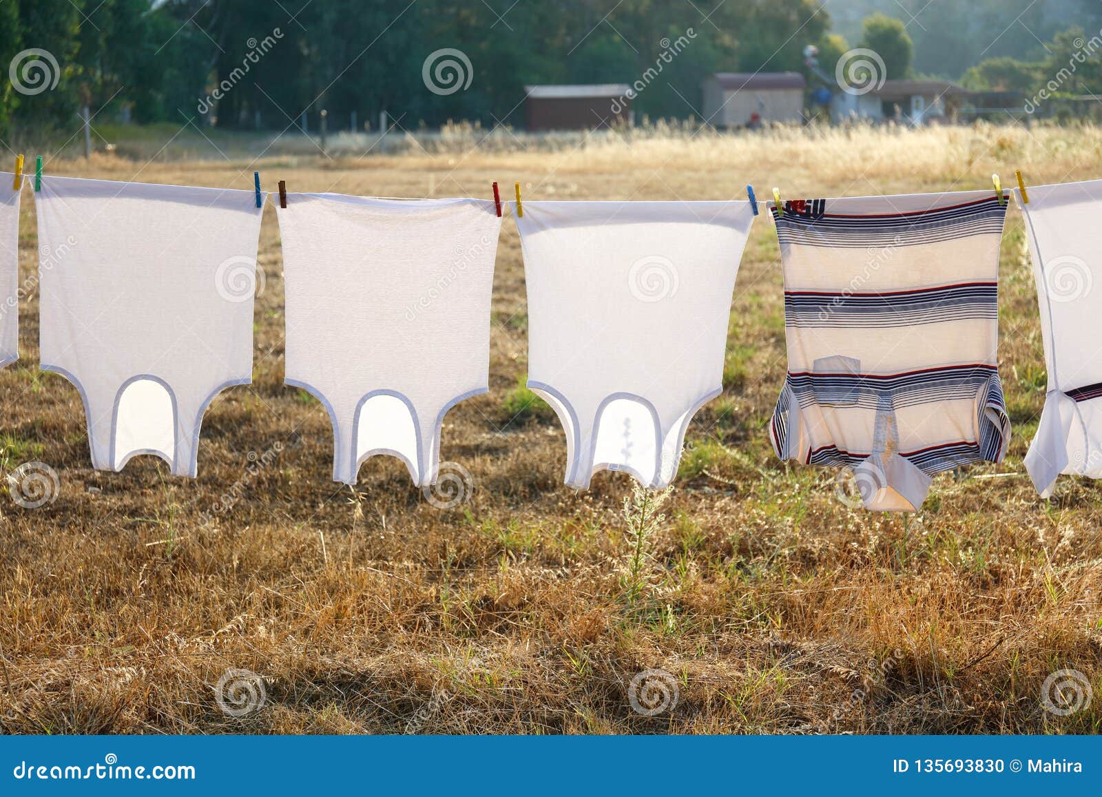 Drying Clothes on a Clothesline Stock Photo - Image of white, nature ...