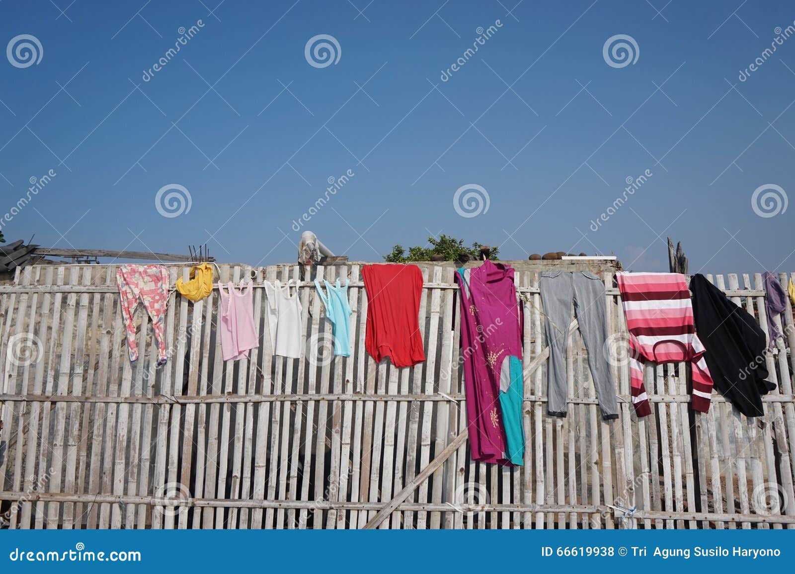 Drying clothes stock photo. Image of cleaning, laundered - 66619938