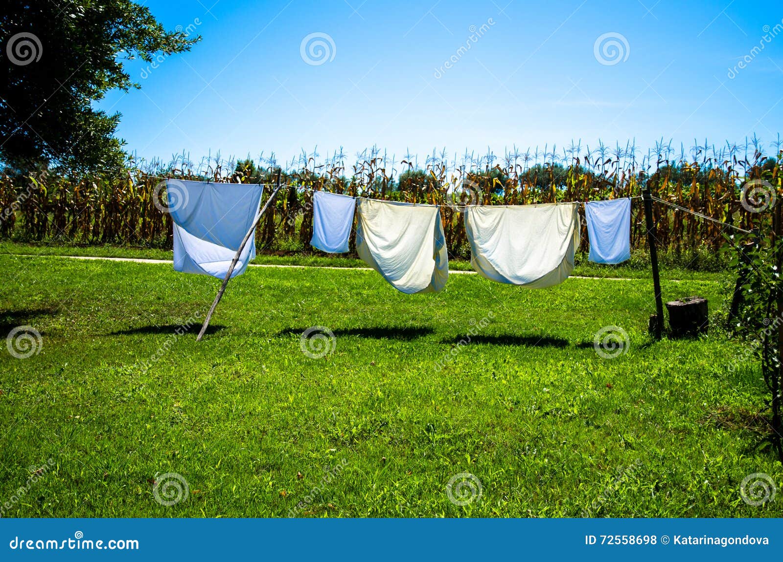 Drying Clothes in Washing Line Stock Photo - Image of outdoor, wash ...