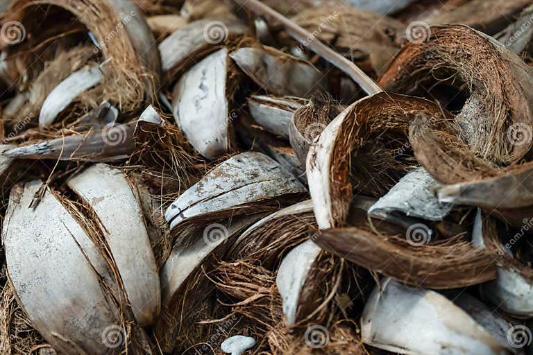 Drying coconut husks stock photo. Image of brown, close - 342966074