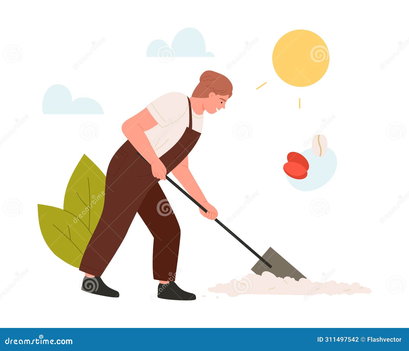 Drying Coffee Beans Process Stock Vector - Illustration of plantation ...