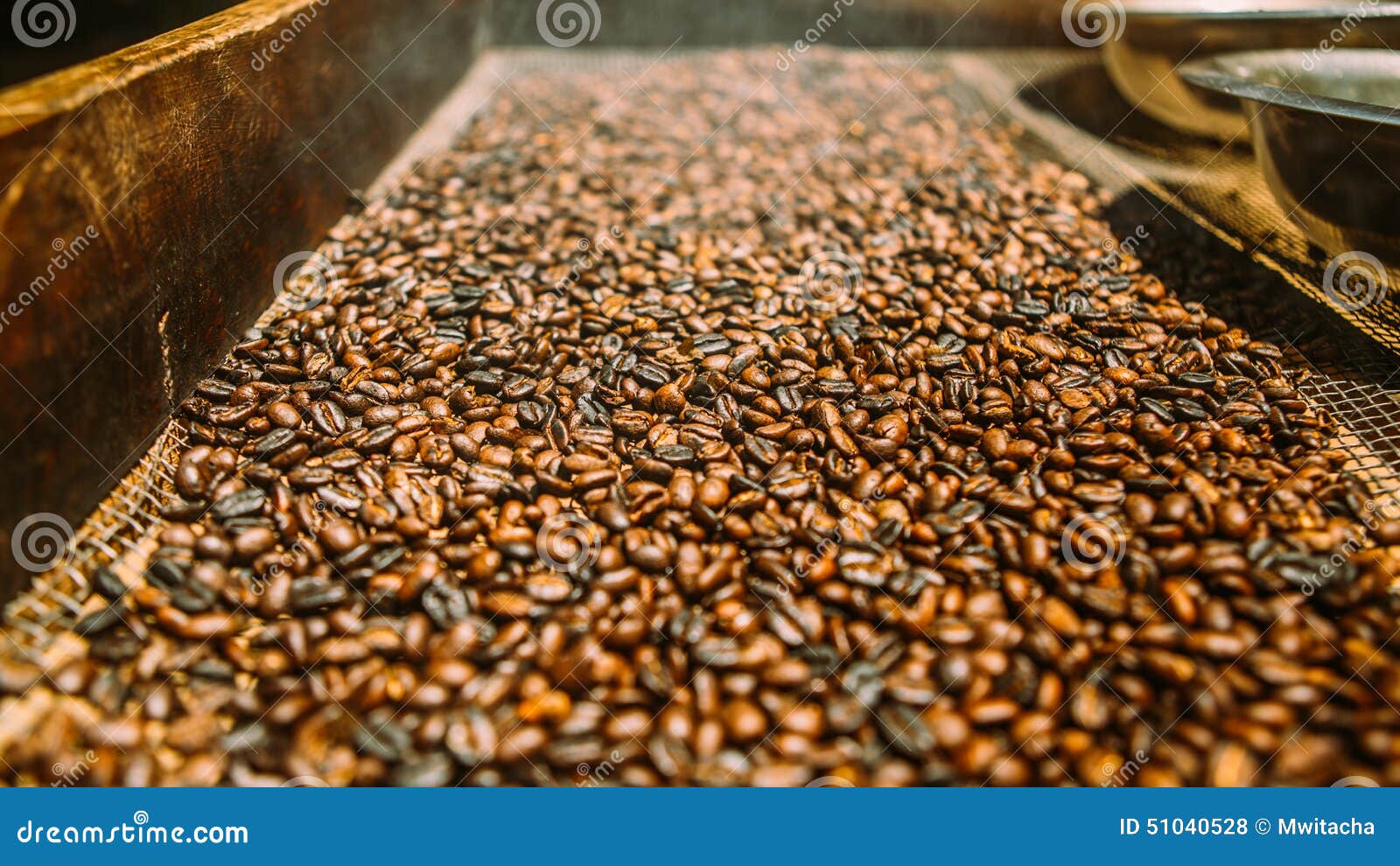 Drying coffee beans stock photo. Image of coffee, beans - 51040528