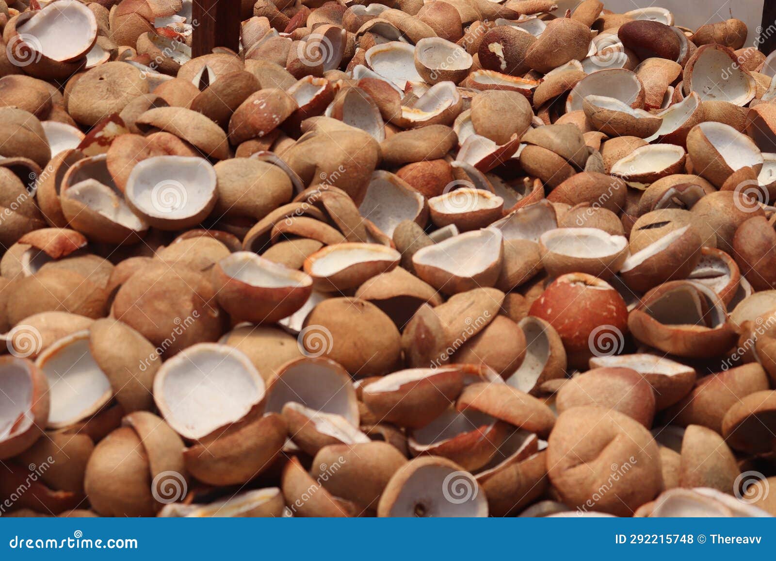 Drying Copra in Solar Dryers Stock Photo - Image of coconut, dryer ...