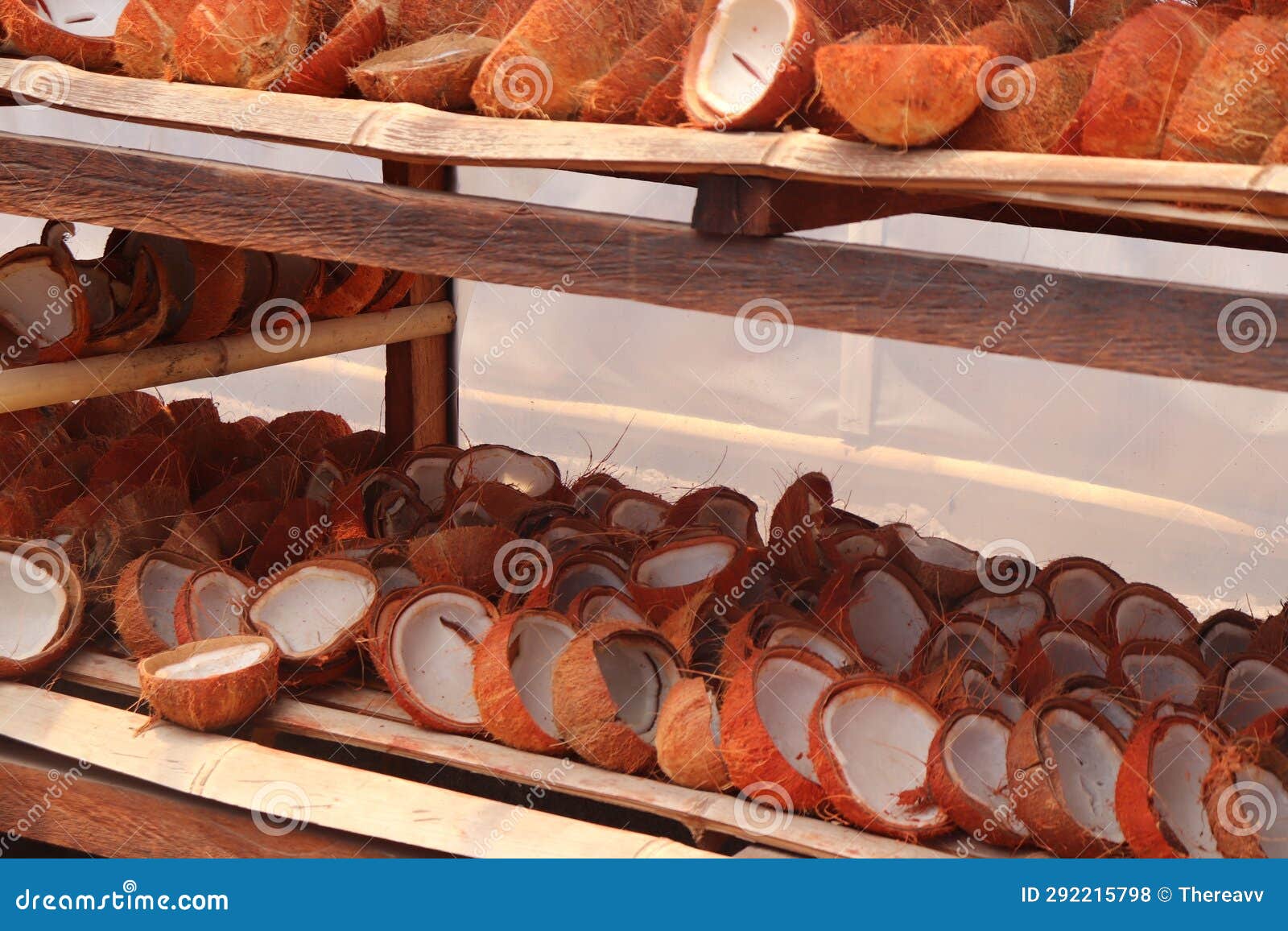 Drying Copra in Solar Dryers Stock Photo - Image of coconut, solar ...