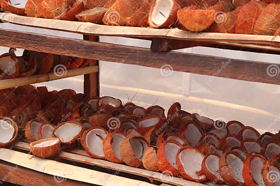 Drying Copra in Solar Dryers Stock Photo - Image of coconut, solar ...
