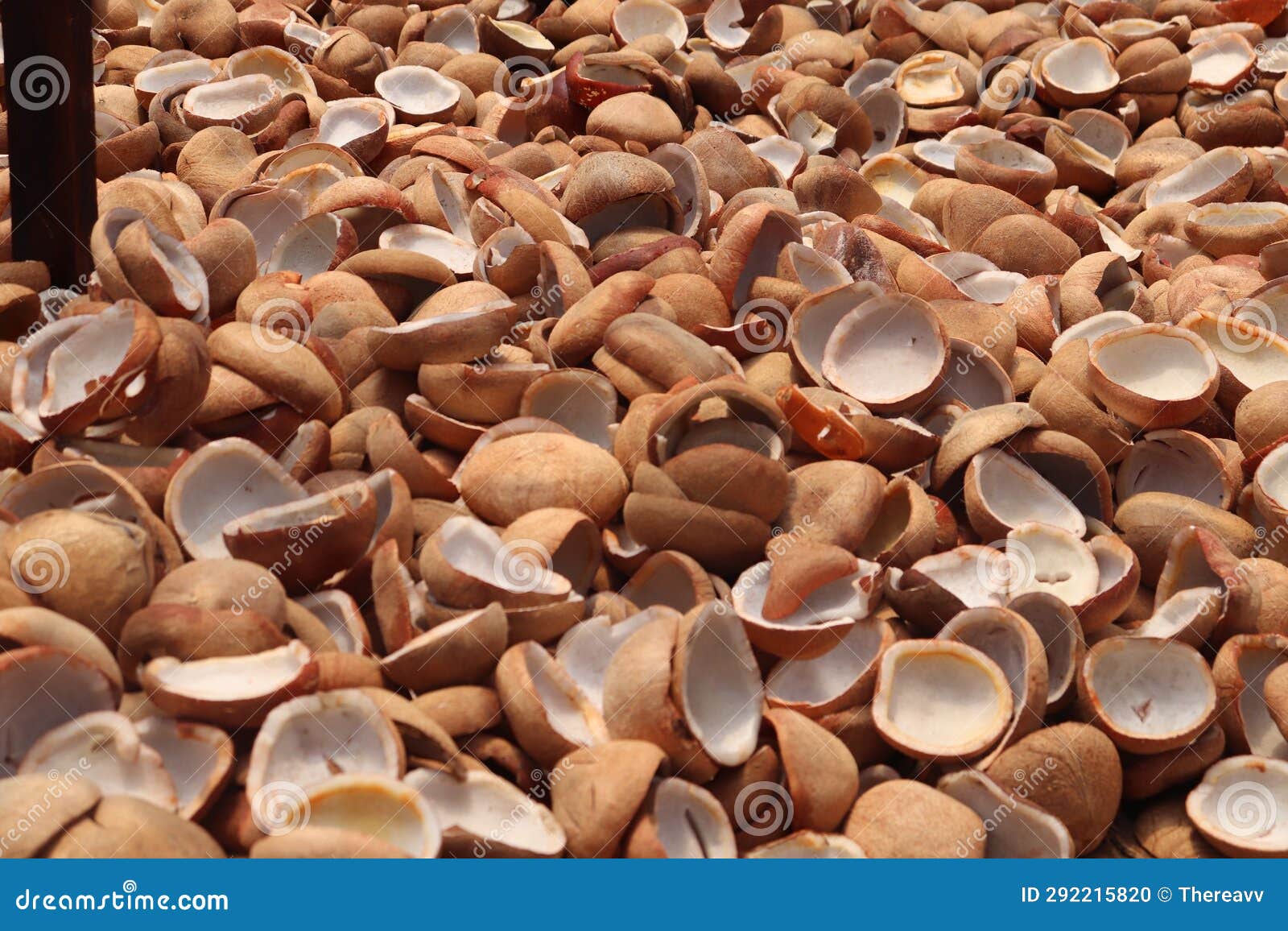 Drying Copra in Solar Dryers Stock Photo - Image of dryers, solar ...