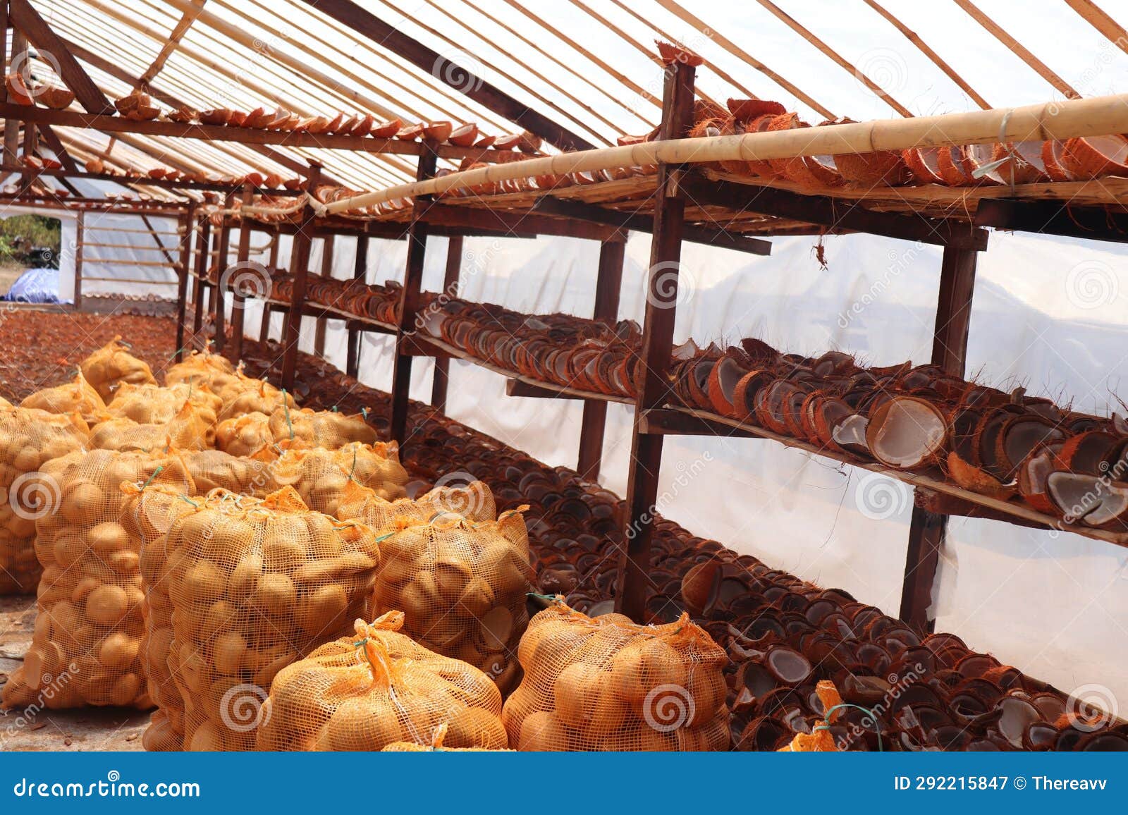 Drying Copra in Solar Dryers Stock Image - Image of bussiness, solar ...