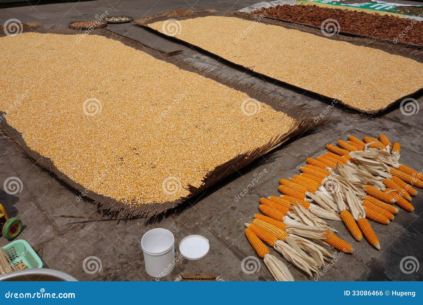 Drying The Corn In The Sun, Corn In A Bamboo Basket. Stock Photo ...