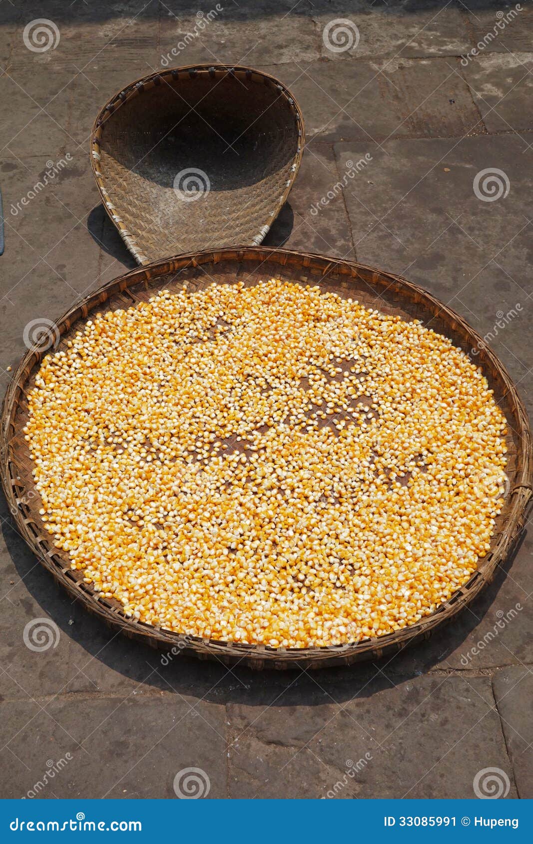 Drying corn kernel stock image. Image of drying, cooked - 33085991