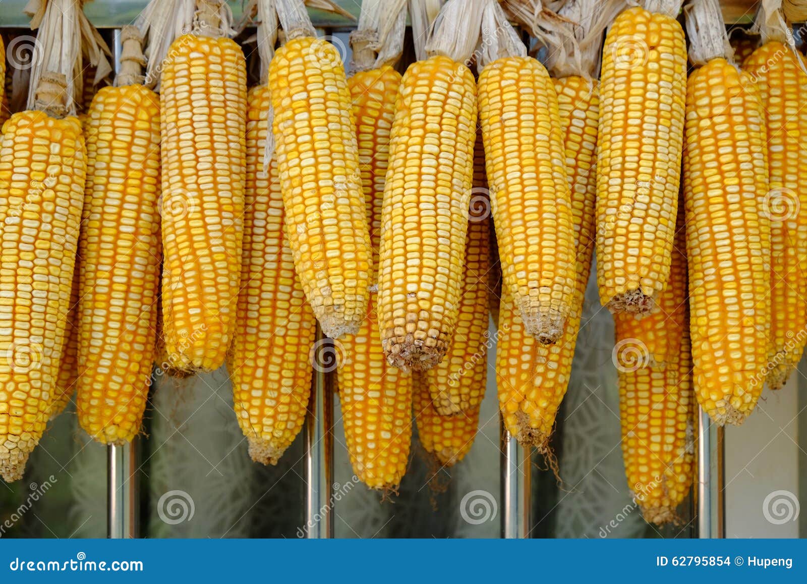 Drying The Corn In The Sun, Corn In A Bamboo Basket. Stock Photo ...