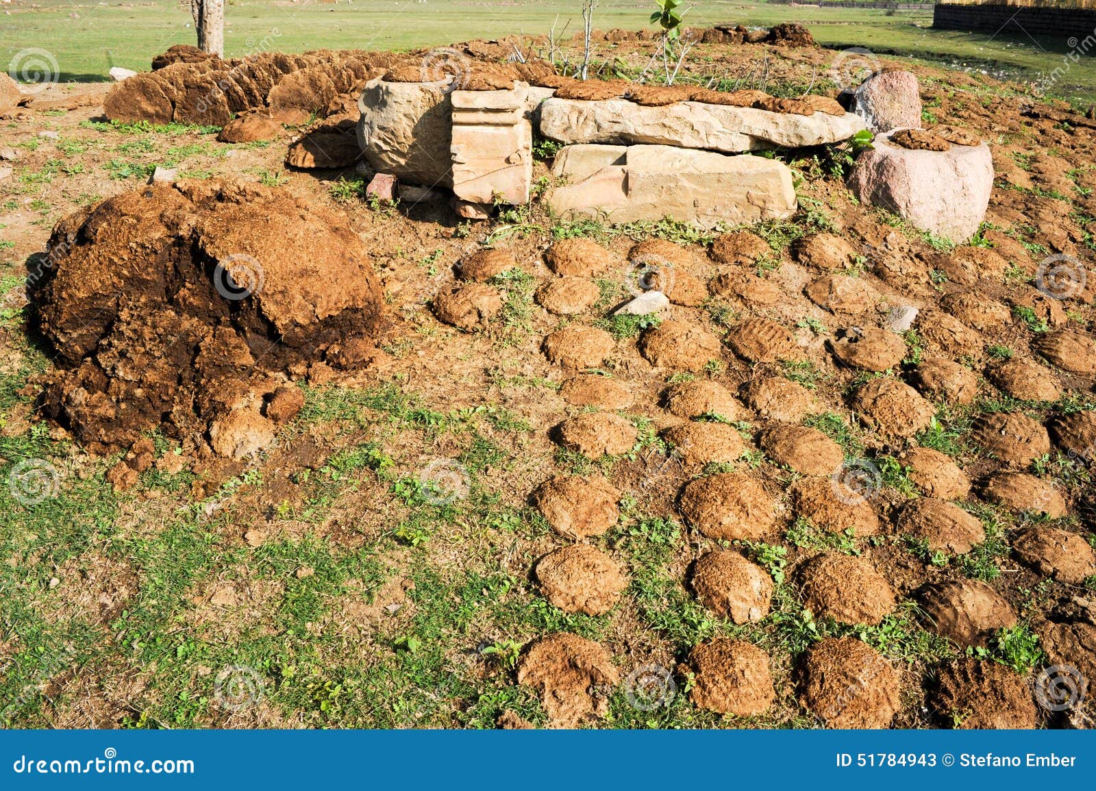 Cow Dung Cakes, Gobar Upla For Indian Rituals Die Royalty-Free Stock ...