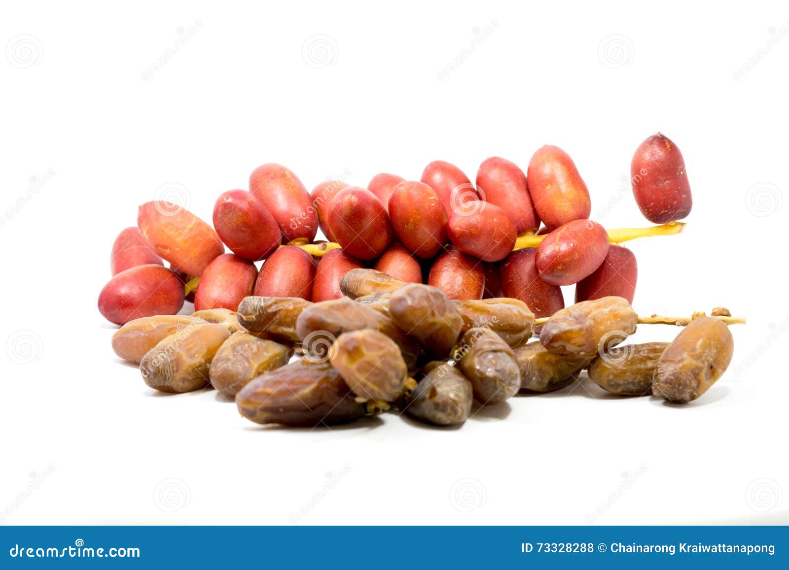Drying Date Palm Fruit and Fresh Red Dates Palm Fruit on White ...