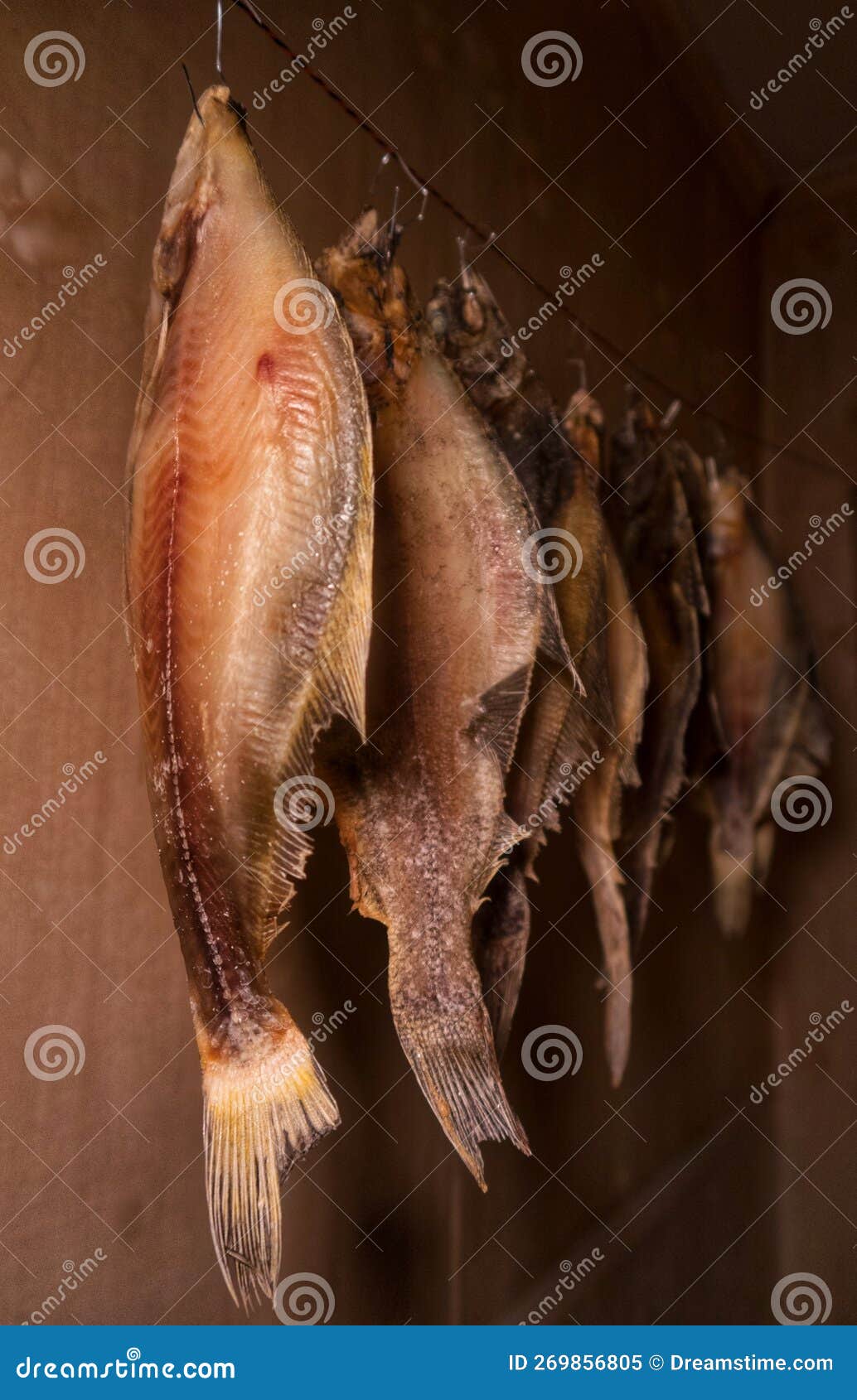 Drying Dried Fish on a Rope Stock Image - Image of food, wing: 269856805