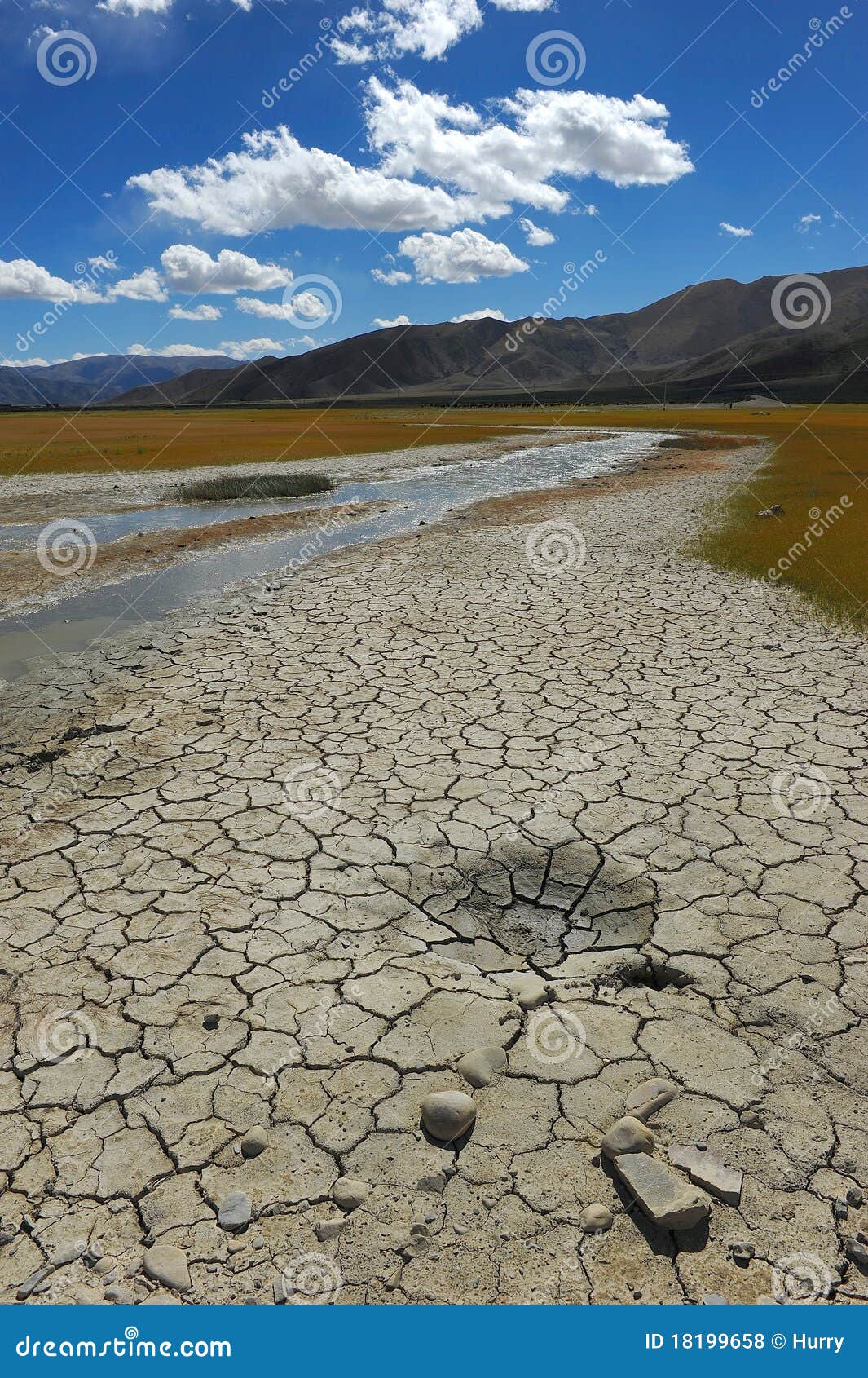 Drying earth stock photo. Image of deserts, earth, gray - 18199658
