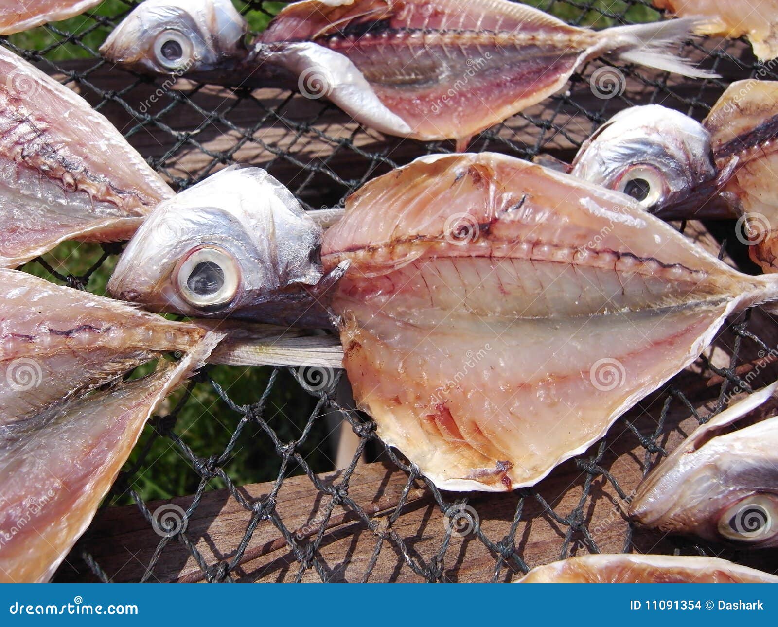 Drying fish stock photo. Image of texture, preserve, drying - 11091354