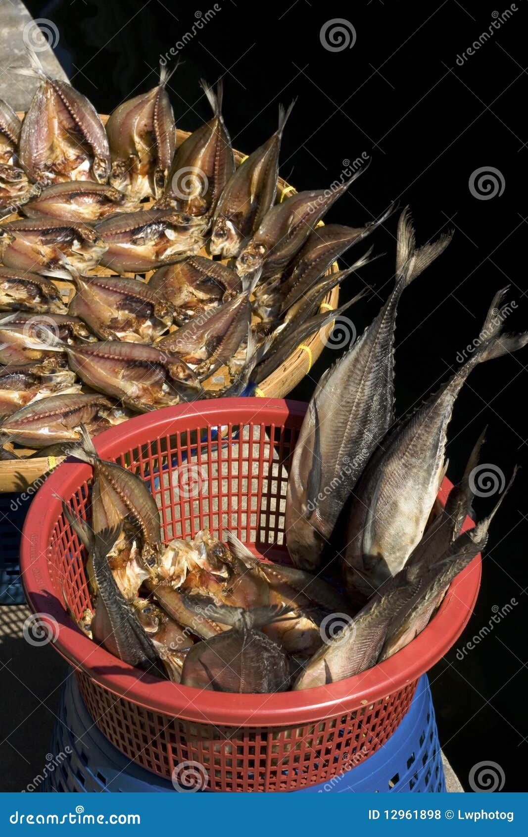 Drying fish stock photo. Image of tails, fish, drying - 12961898